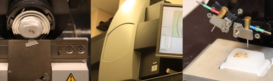 Human Tissue Acquisition | Translational Pathology Shared Resource